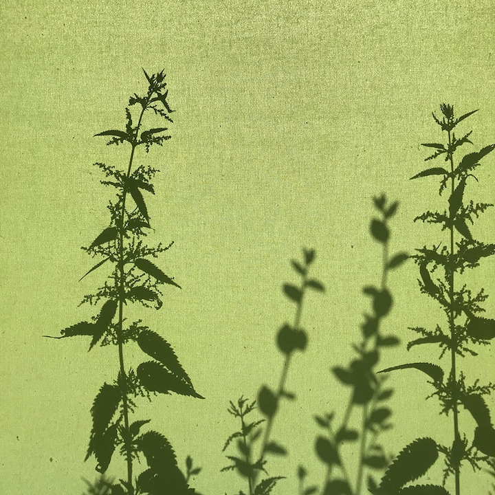 Jagten på det evige liv | Lyt som podcast | DR LYD