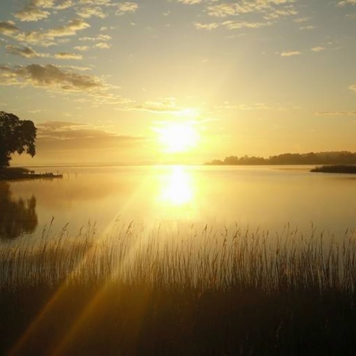 P4 København – Stream eller hør P4 København live her | DR LYD