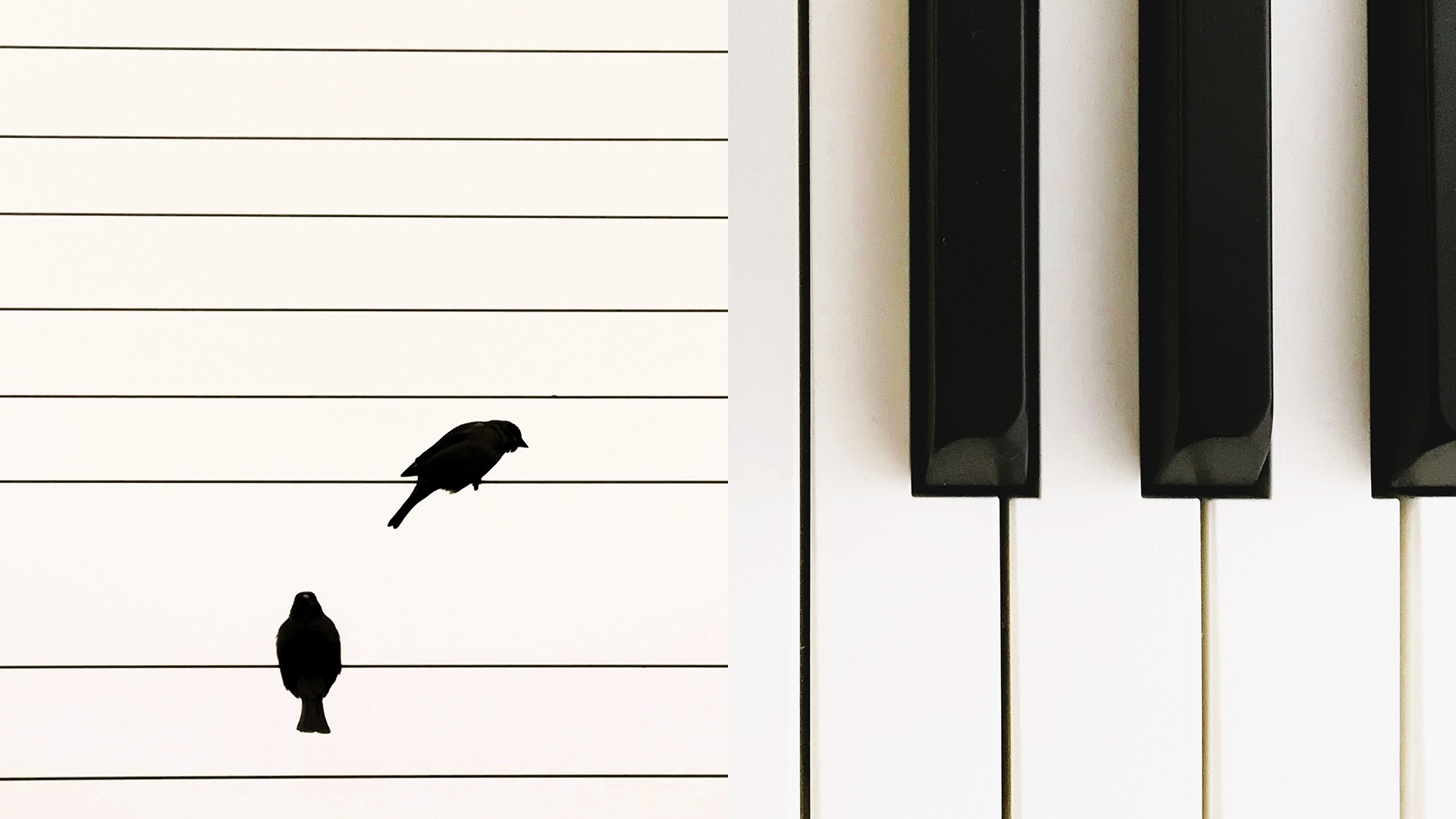 Værket | Tornerose | Lyt som podcast | DR LYD