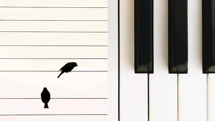 P1 Radio – Hør P1 live eller genhør P1-programmer her | DR LYD