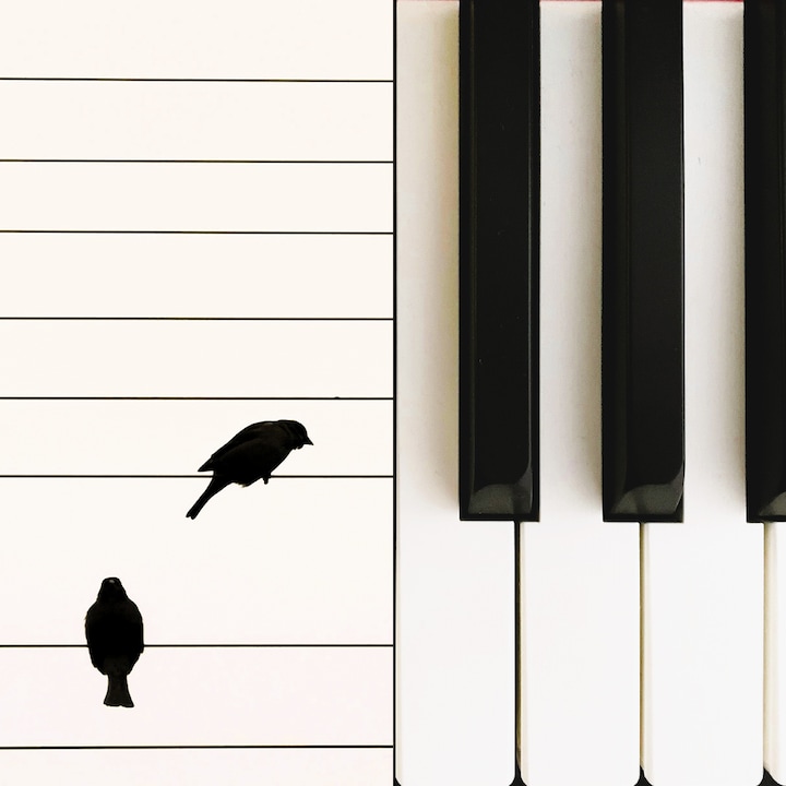 Værket | Dvoráks Symfoni nr. 7 | Lyt som podcast | DR LYD