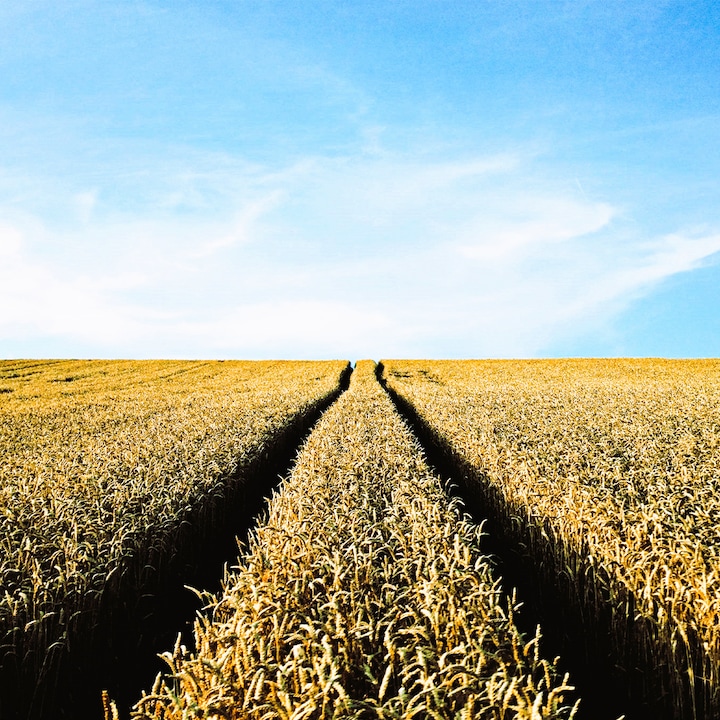 P2 Radio – Klassisk musik med nutidig formidling | DR LYD