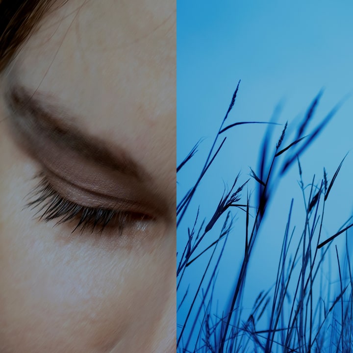 Siesta | Mandag 8. september 2025 | Lyt som podcast | DR LYD