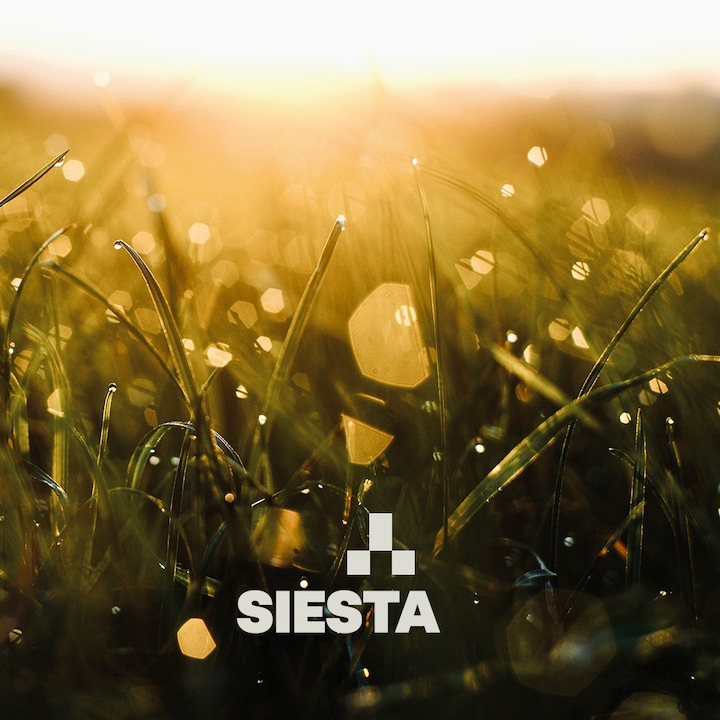 Siesta | Glæde | Lyt som podcast | DR LYD