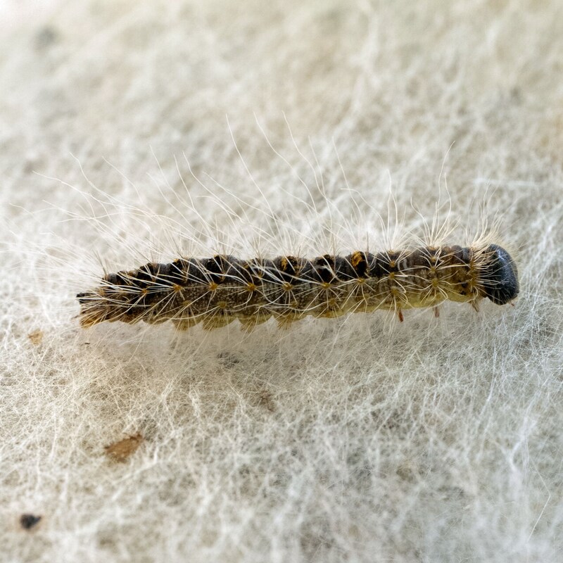 DR: Nyheder - Breaking - TV - Radio