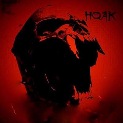 HOAK | KarriereKanonen | DR