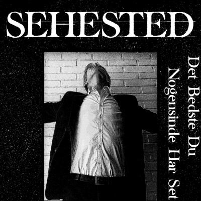 Sehested | KarriereKanonen | DR