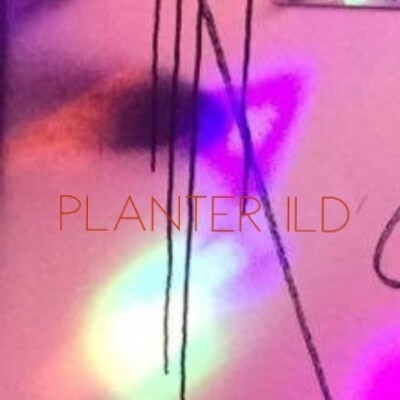 Sasha Bay Neierdi | KarriereKanonen | DR