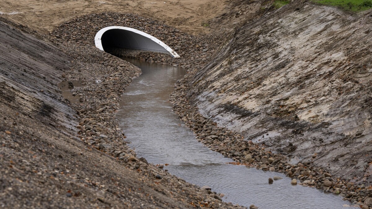 Efter Nordic Waste-skandale løber vandet igen frit i Alling Å | Indland ...