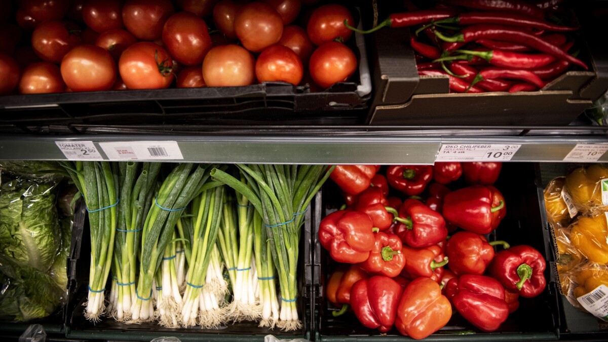 Mere mad fra Netto, Bilka og Føtex skal nu til varmestuen og ikke i containeren | Indland | DR