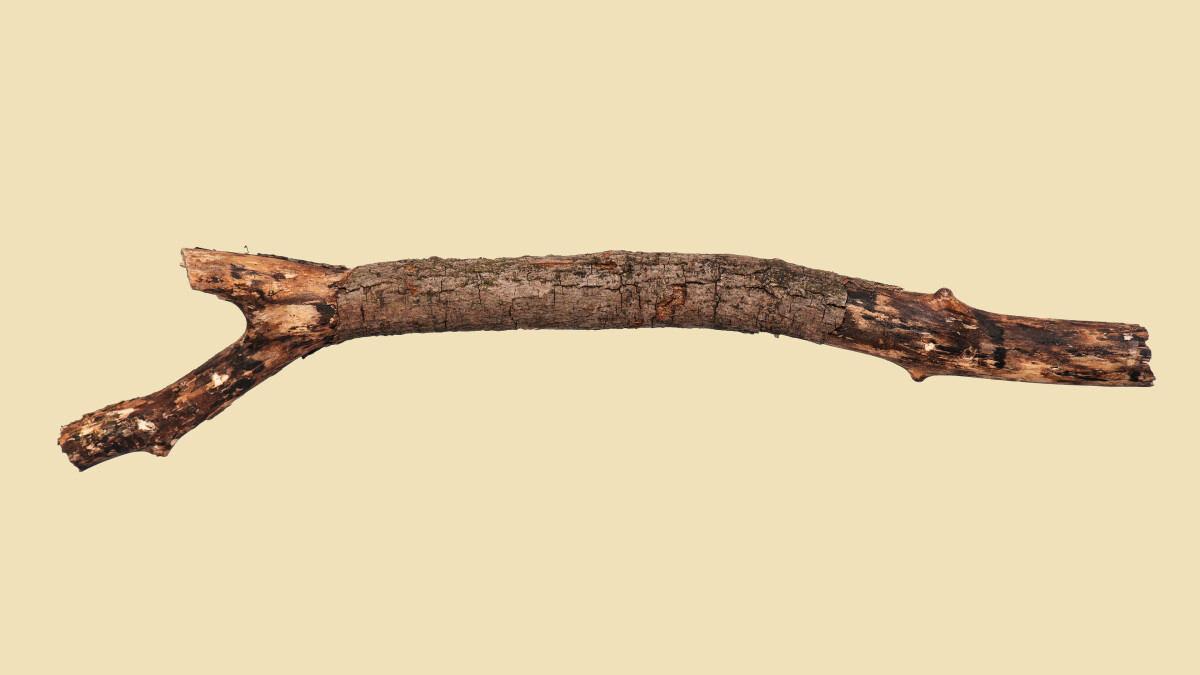 Se min pind - er den ikke flot?: Kæmpe netværk af ’pinde-venner ...