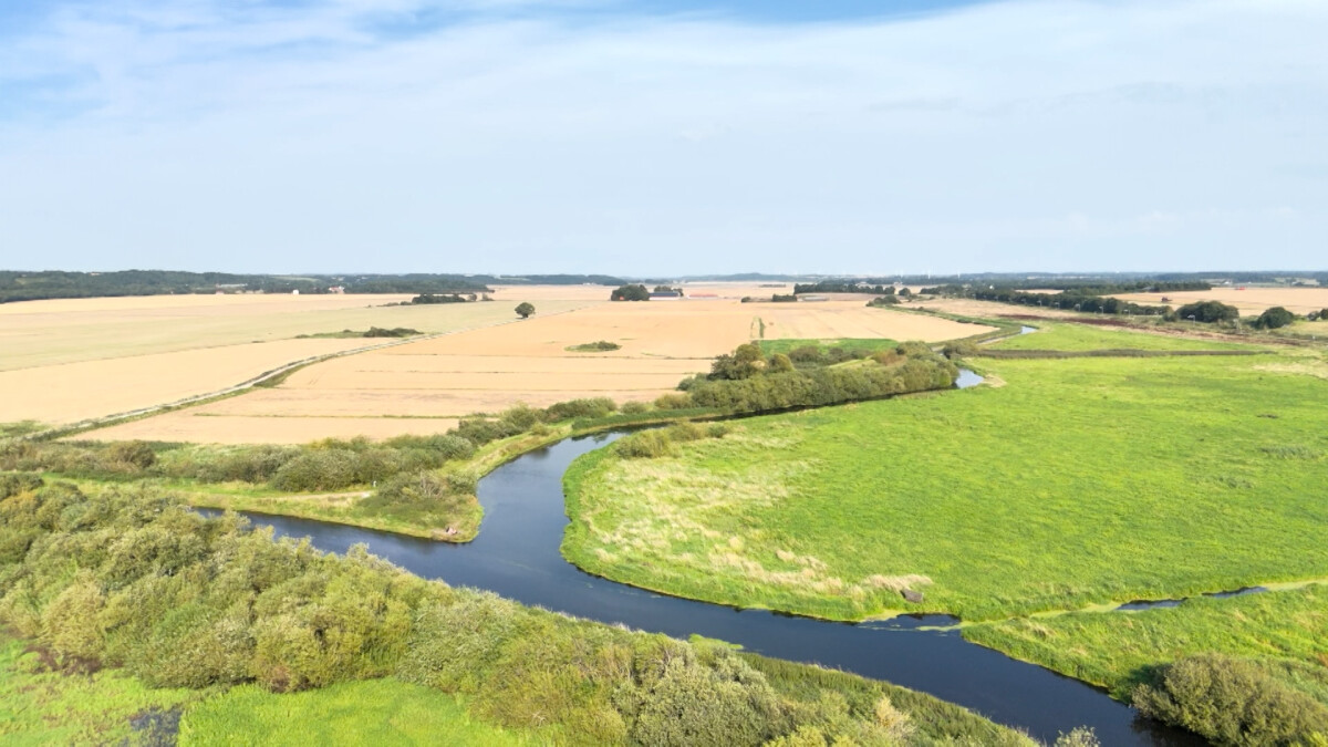Her kan landbrug blive til natur, hr. minister: Gendan Jyllands største ...