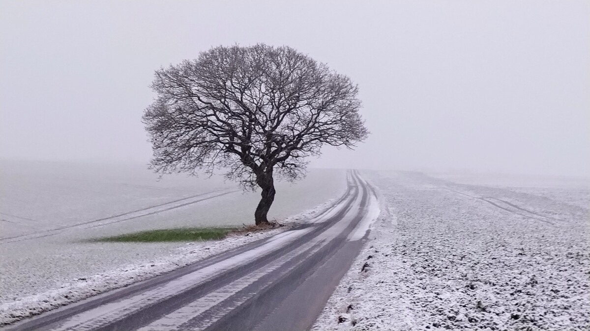 Sne, regn og slud torsdag | Vejret | DR