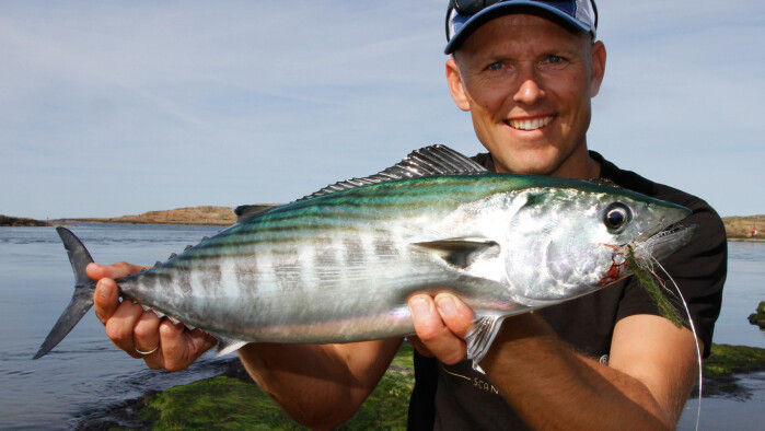 BILLEDER 6 nye danske fisk som klimaforandringer kan have givet os ...