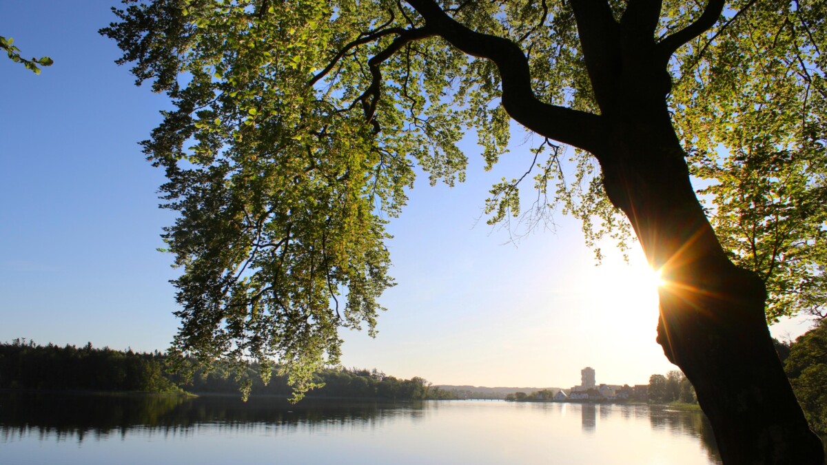 Efter årets første sommerdag - fortsat solrigt og sommerligt | Vejret | DR