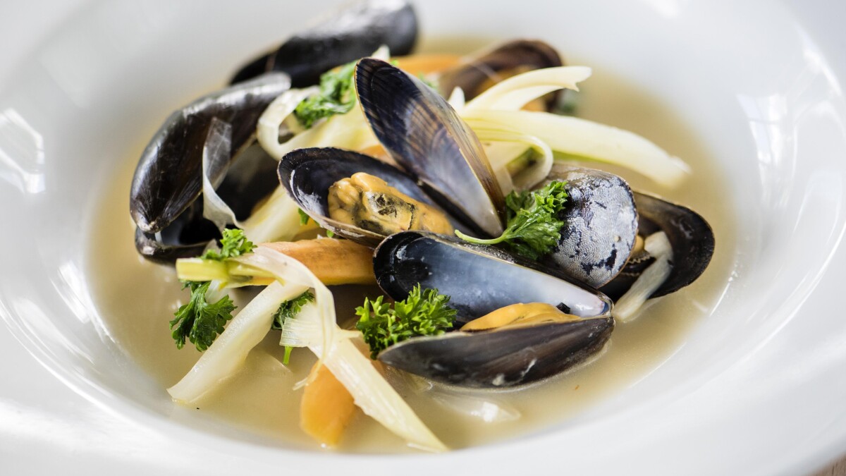 Sæsonens første muslinger kan spises i dag - men muslingeerhvervet ...
