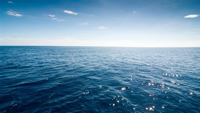 Flere danskere bliver stedt til hvile i havet | Kultur | DR