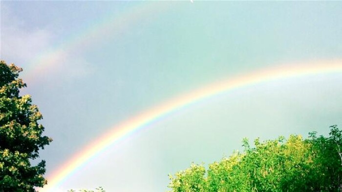 BILLEDSERIE: Se de flotte regnbuer | Historier i billeder | DR