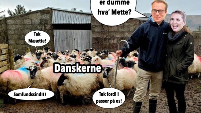 Regeringskritisk billede måtte ikke være på Instagram: Fjernet fra ...