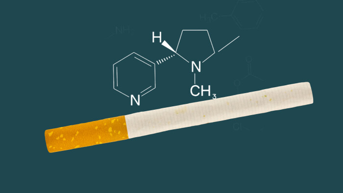 Det findes i smøger, snus og plastre fra apoteket: Hvor giftigt er ...