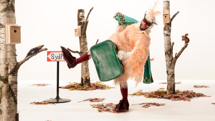 Fugl flyver sydpå | Natur, udeliv og science | DR