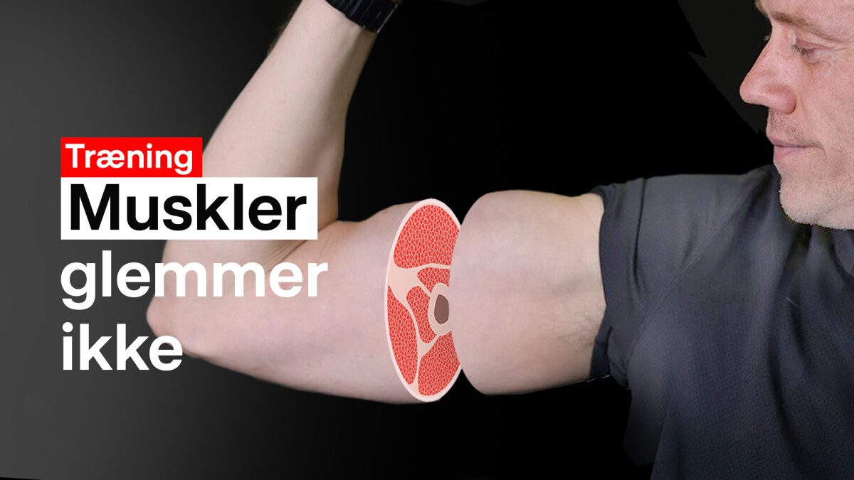 Frygter du gensynet med træningscenteret? Dine muskler husker, hvordan ...