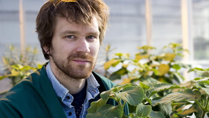 Forsker: Brug naturen som vidensbank - og ikke råstofstank | Miljø | DR