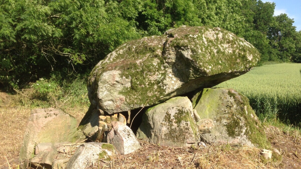 Frivillige bringer gamle stendysser tilbage til fordums storhed ...