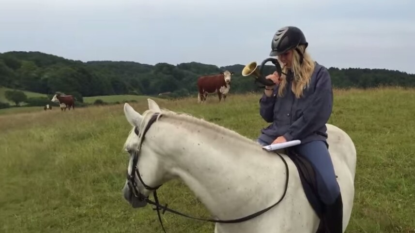 VIDEO Jagthorn starter en lavine af løbende køer | Sjælland | DR