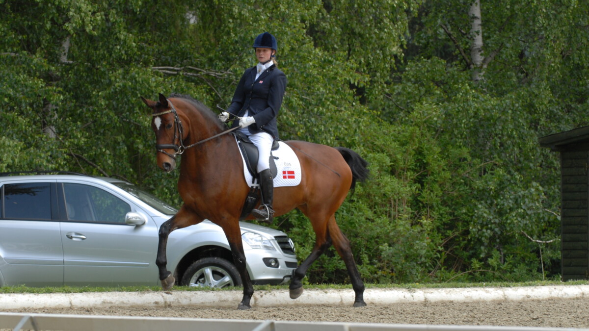 Mere sølv til dansk rytter ved EM i paradressur | Hestesport | DR