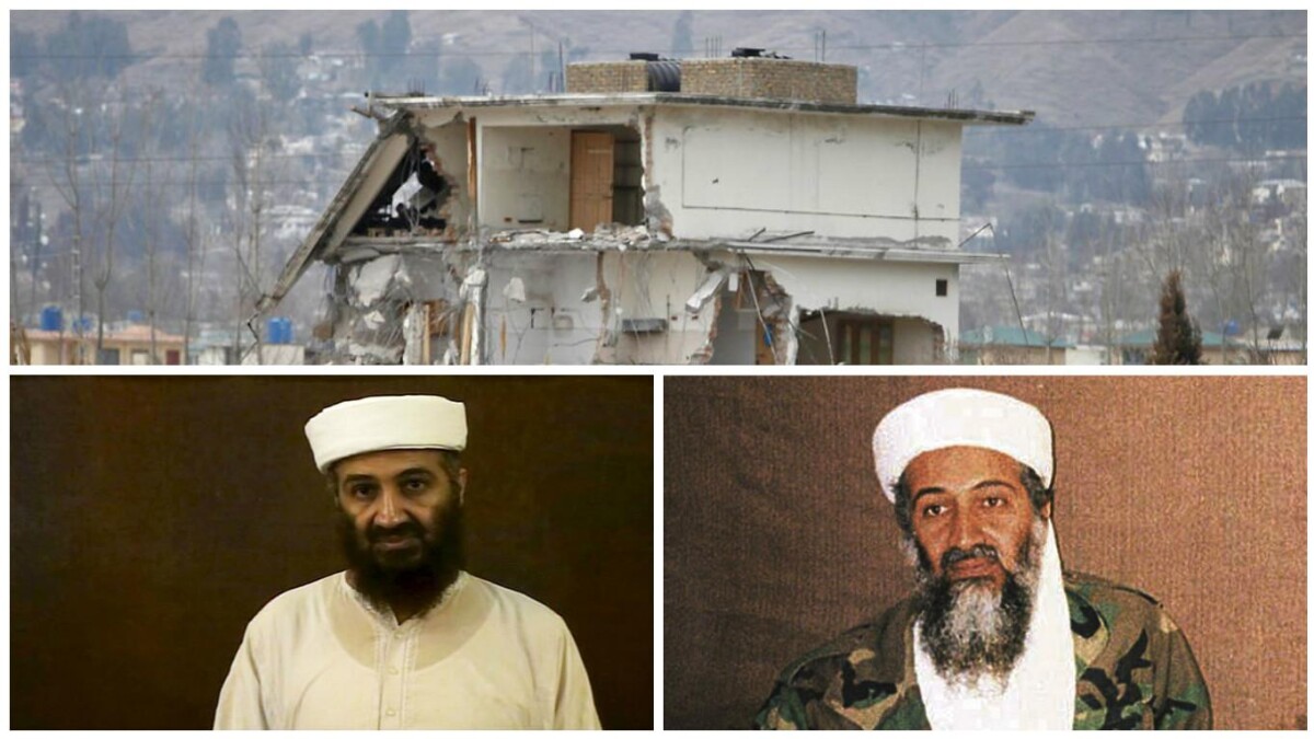 Ekspert fem år efter bin Ladens død: Al-Qaeda er blevet vores allierede ...