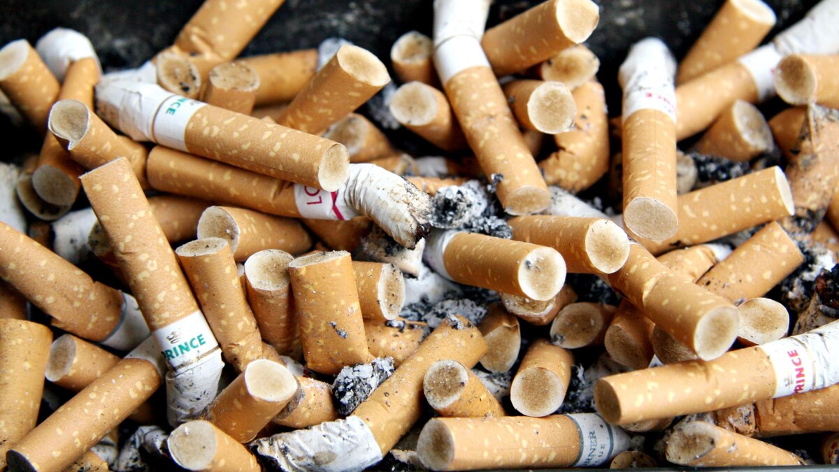 GRAFIK Her må du ikke længere ryge i arbejdstiden | Ligetil | DR