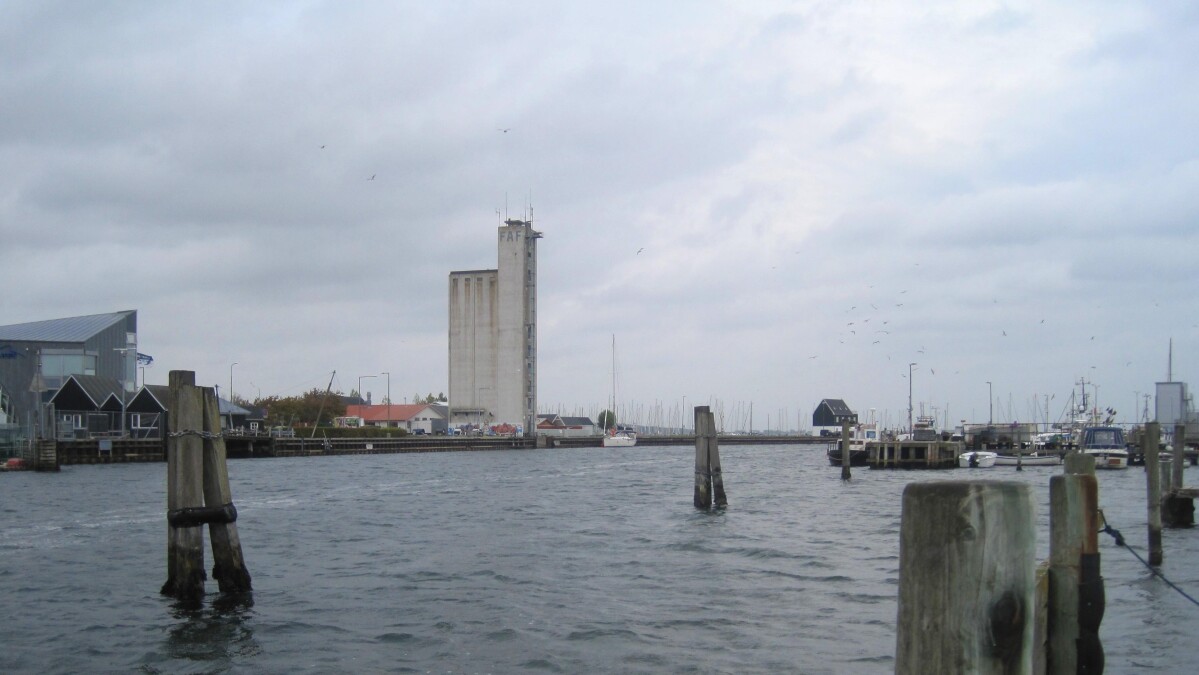 Kommuner får hjælp i kampen mod oversvømmelser | Fyn | DR