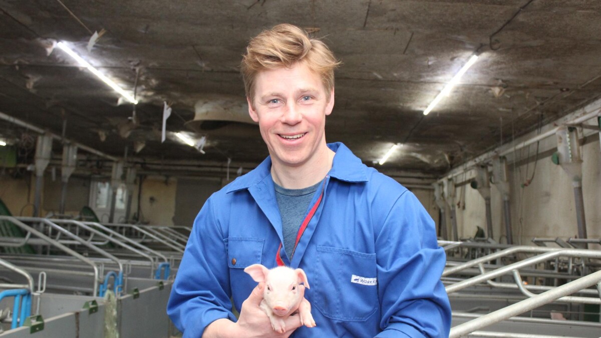 Fodboldtalent nåede helt til Premier League: Nu passer Kim grise | Syd- og Sønderjylland | DR