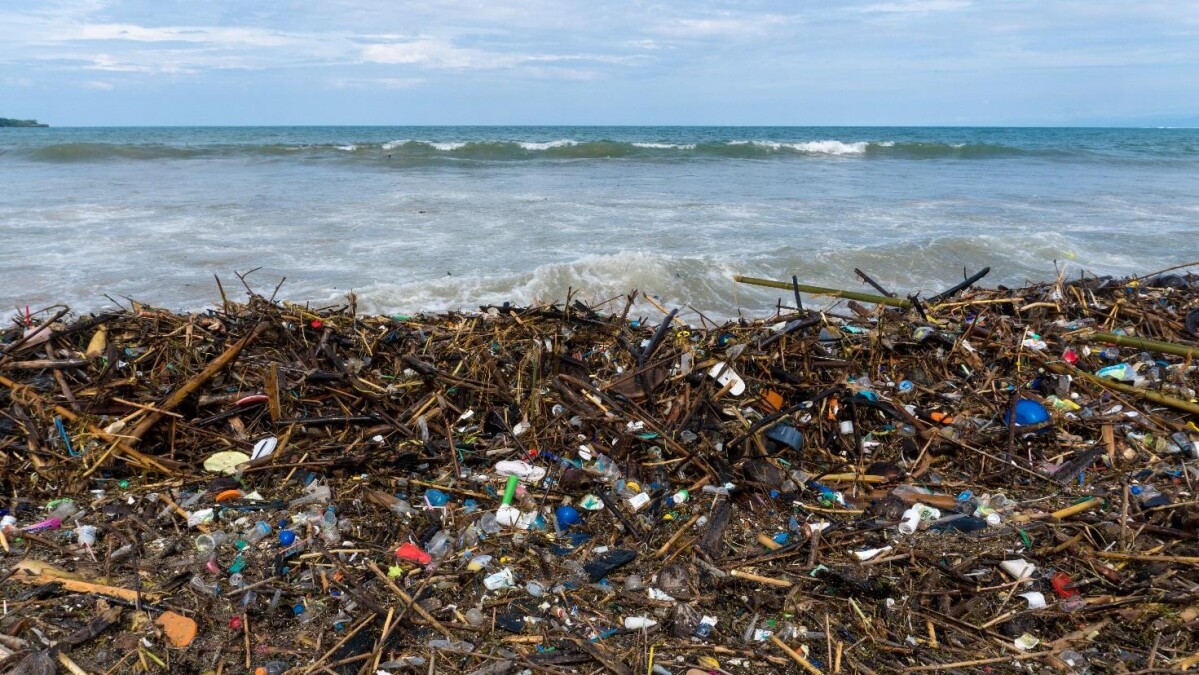 Laboratorie-forsøg: Kemikalier fra plastik i havet påvirker den ilt, du ...