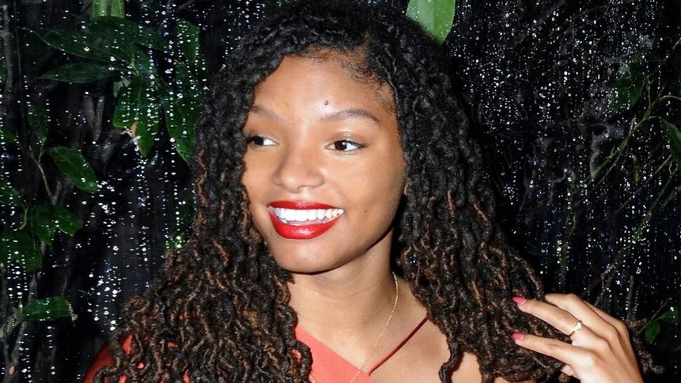 Ekspert om hidsig havfrue-debat: 'Det er på ingen måde tilfældigt, at ...