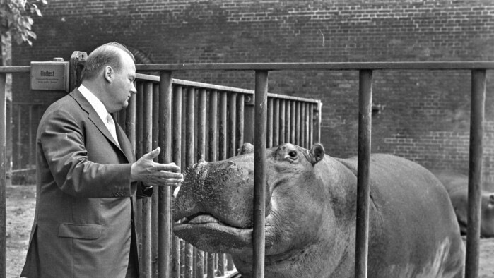 BILLEDER: Dolph, Bamse og Lieberkind - 10 gange DR har været i Zoo ...