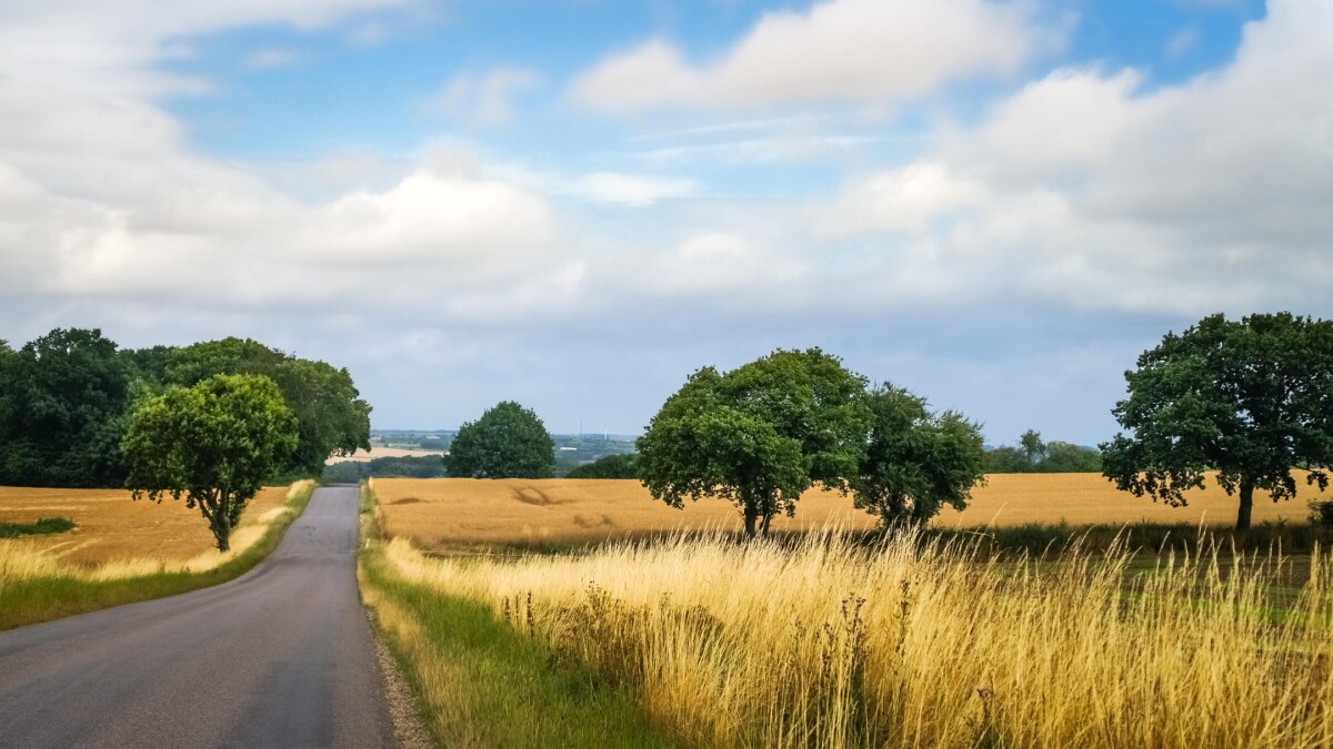 Varm luft over Danmark: Her kan det blive 33 grader i morgen | Vejret | DR