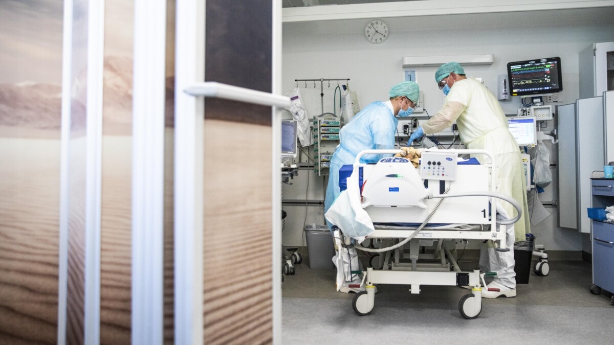 SSI: Corona, RS-virus og influenza giver 'betydelig' overdødelighed ...