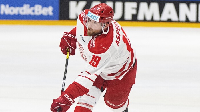 Dansk ishockeyprofil skifter fra Herlev Eagles til ligarival | Kort sport | DR