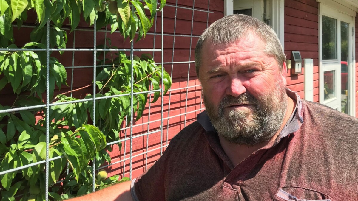 Kolonihaveejere hyrer advokat i protest mod nye lokalplaner ...