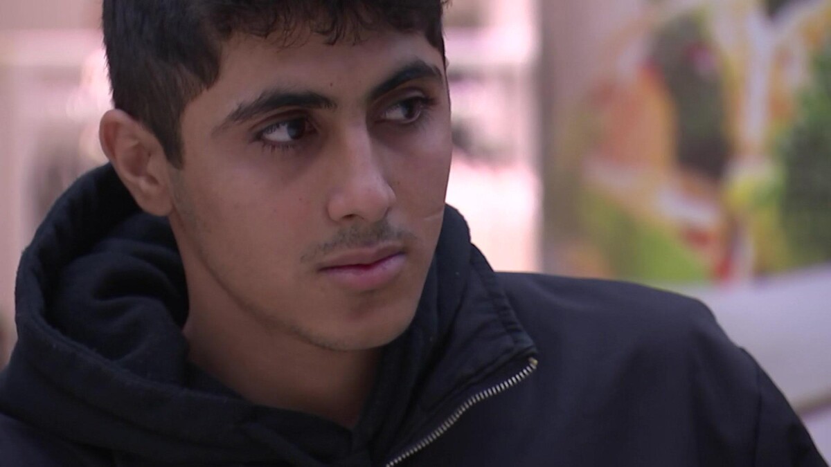 Eksperter: Politiet burde aldrig have delt rygte om tvangsfjernelse af ...