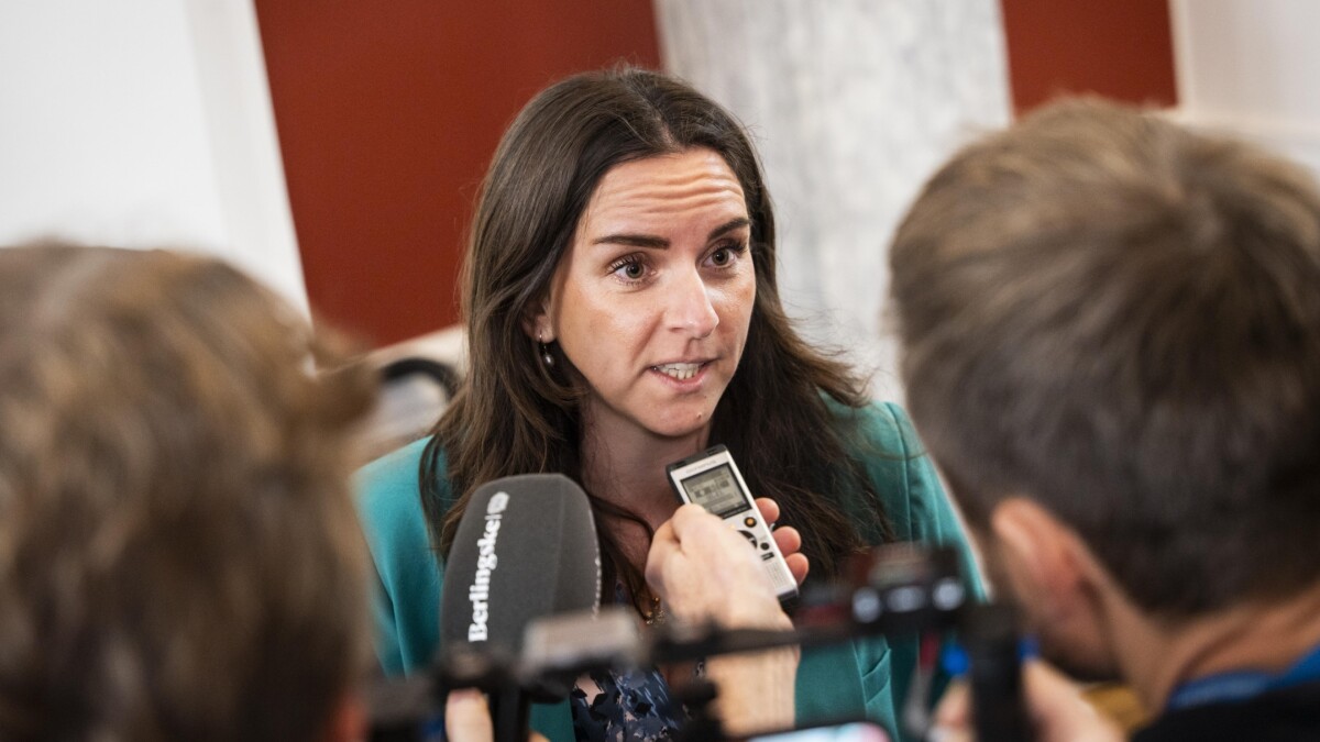 Hun beskyldte Mike Fonseca for grooming - nu tager partifælle afstand ...