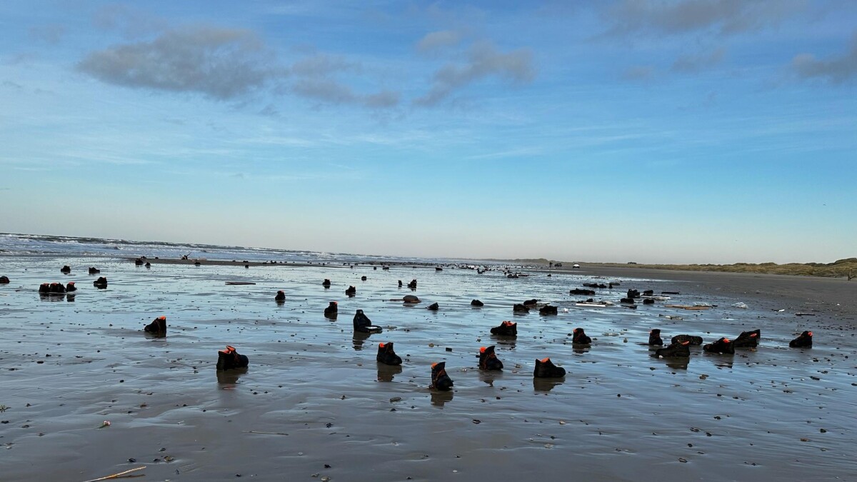 Opskyllet Mærsk-gods er guf for tyve: Der bliver 'stjålet med arme og ...