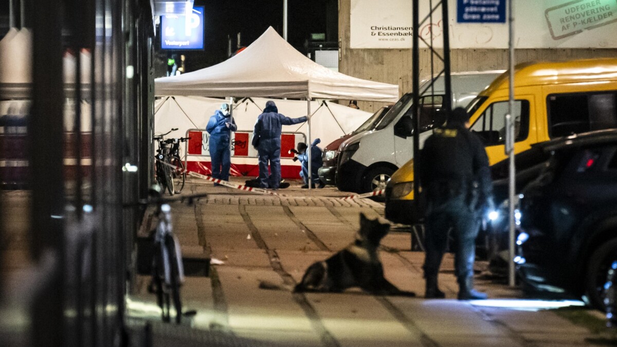 Drab i bander og kriminelle miljøer dominerer i Danmark | Indland | DR