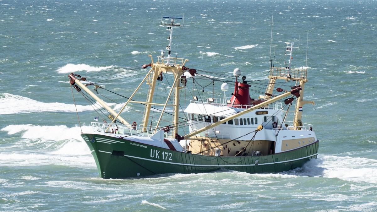 Naturvenner vil have ødelæggende fiskeri helt forbudt | Indland | DR