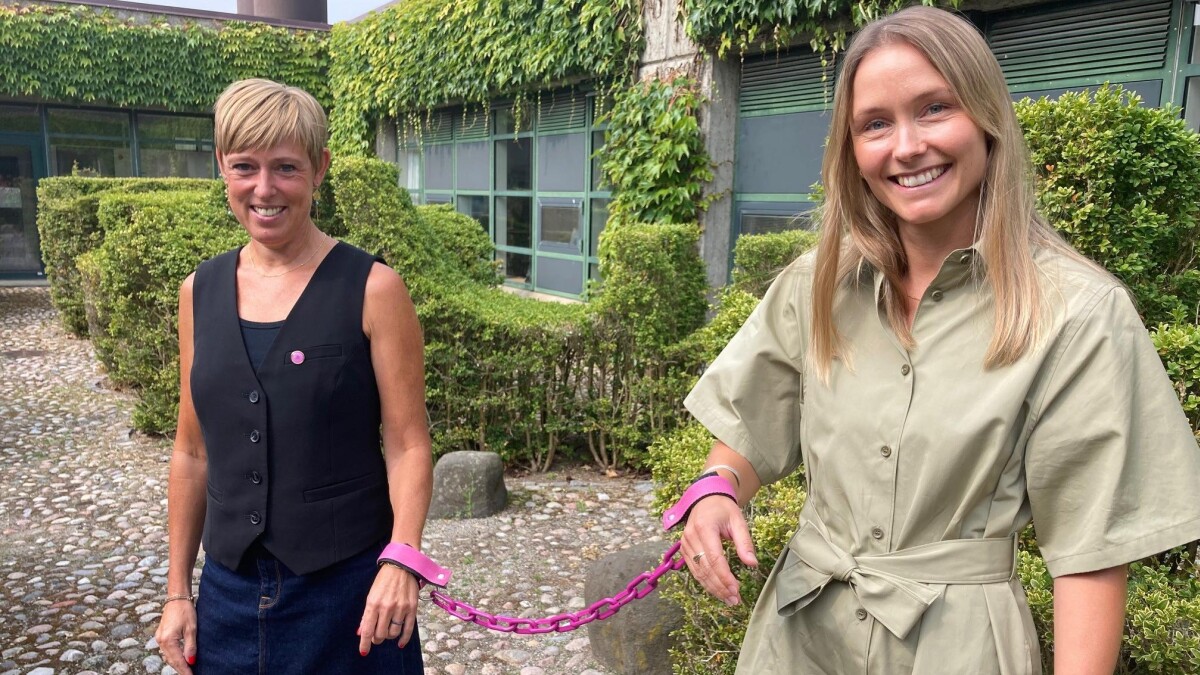 ’Venner igen’: Fra et blankt stykke papir til ny lørdagsunderholdning ...