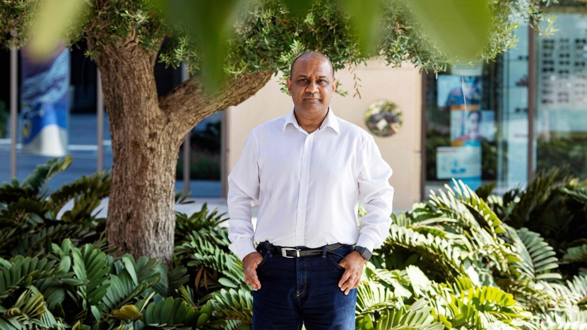 Skattevæsnet: Da udbytteskandalen blev opdaget, sendte Sanjay Shah en ...