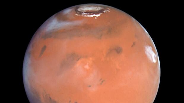 Efter 711 millioner km: Maven suser rundt om Mars | Viden | DR