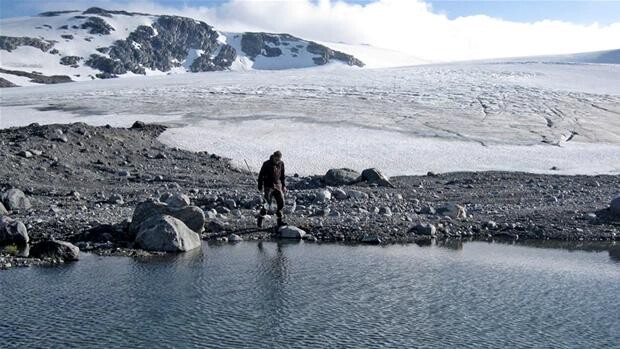 Norske insekter lever af planterester fra istiden | Naturvidenskab | DR